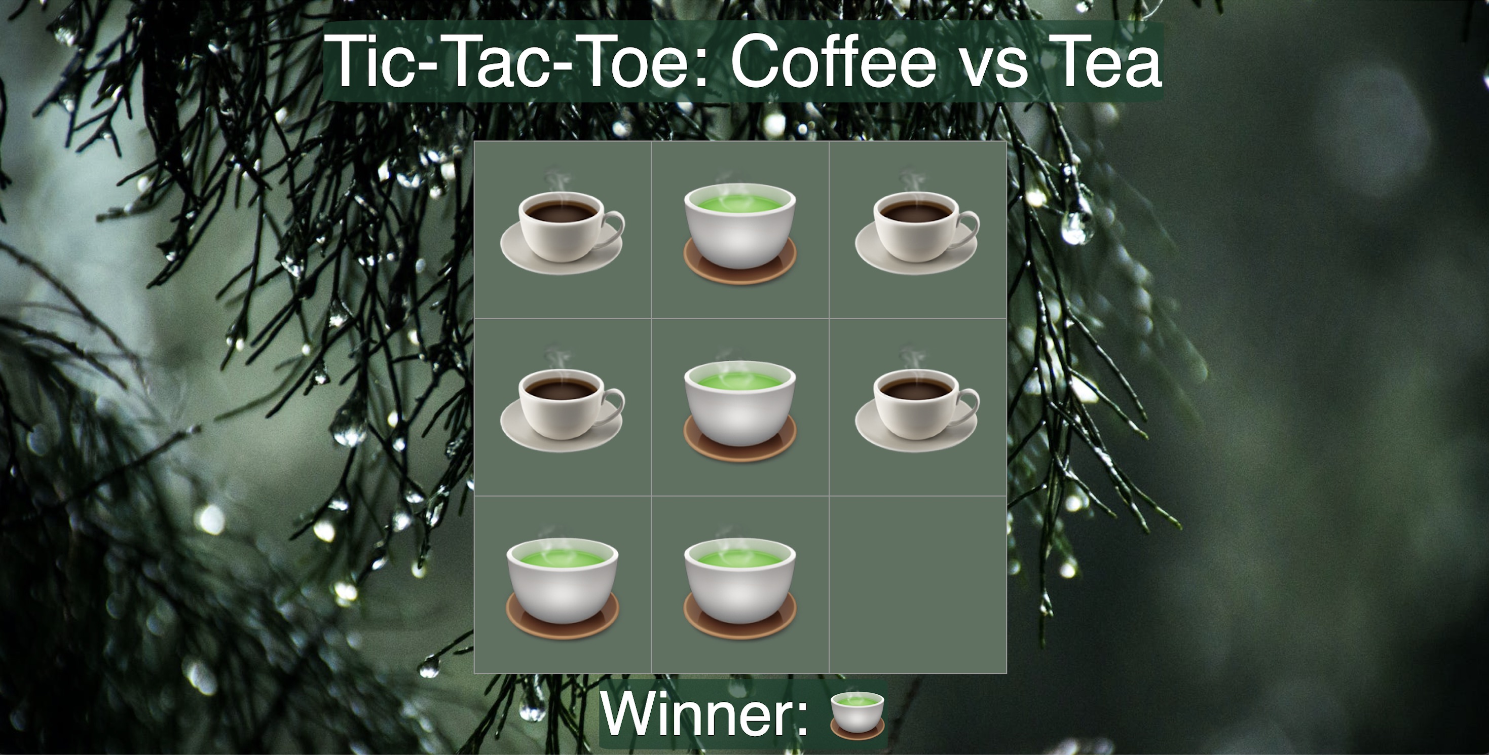 Karen G Ceceña | Portfolio